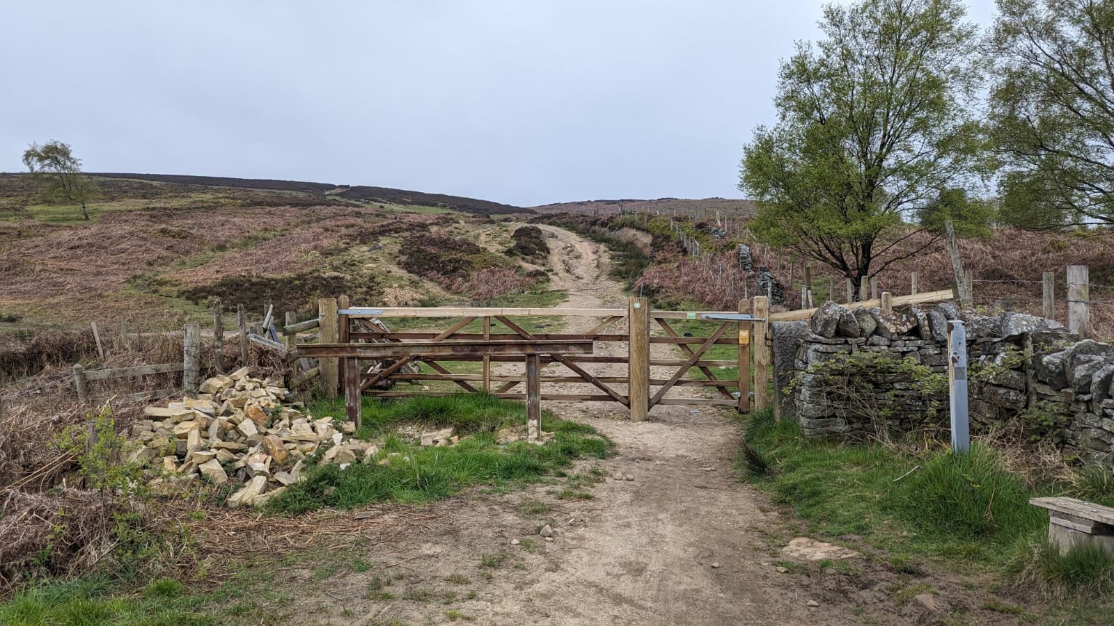 Totley Moor Fell Race (Totley AC) - route & GPX download - Run Times